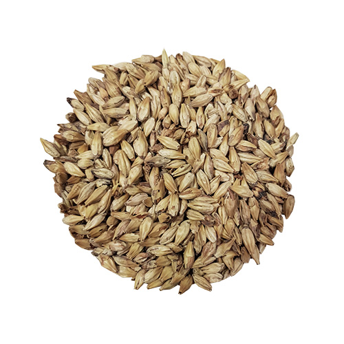 Caramel Malt Munich 100 från Bindewald MaltMagnus