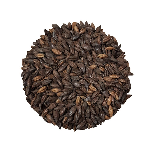 Viking Chocolate Malt Viking Malt MaltMagnus