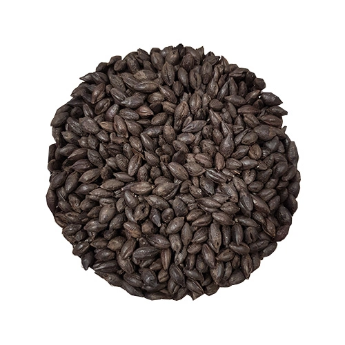 Viking Roasted Barley Whole Bag 25 kg Viking Malt MaltMagnus
