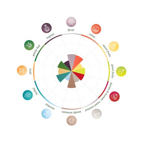 Hallertauer Mitterlfrüh Hop Pellets MaltMagnus