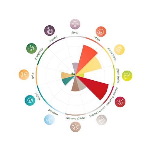 Simcoe Storpack Humlepellets MaltMagnus