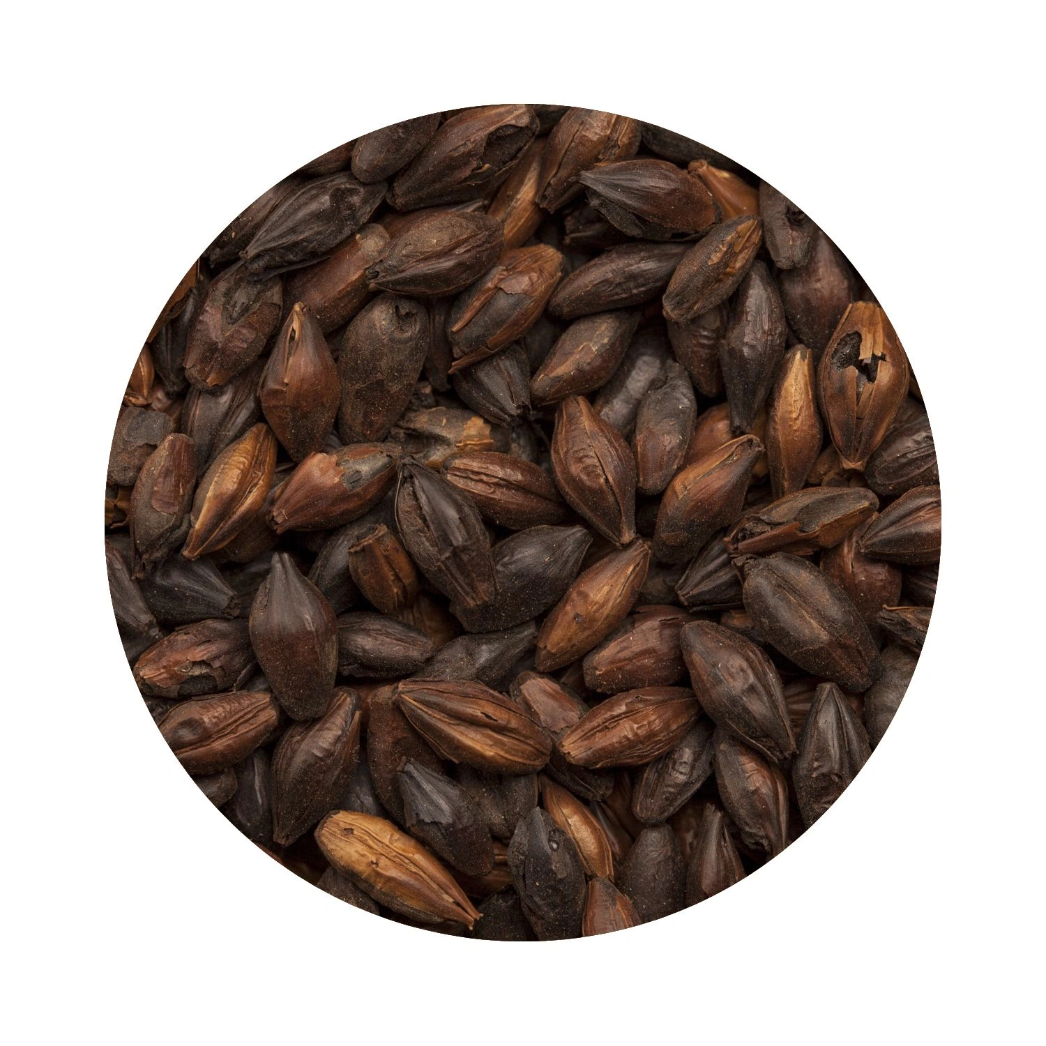 BEST Black Malt eXtra BESTMALZ MaltMagnus