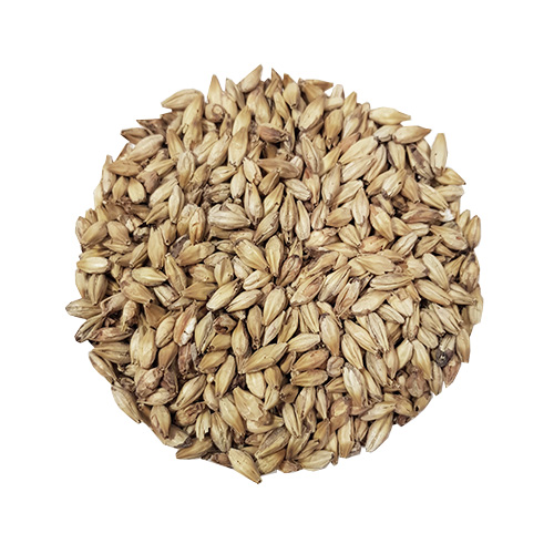 Viking Caramel Malt 30 Whole Bag Malt 25 kg Viking Malt MaltMagnus