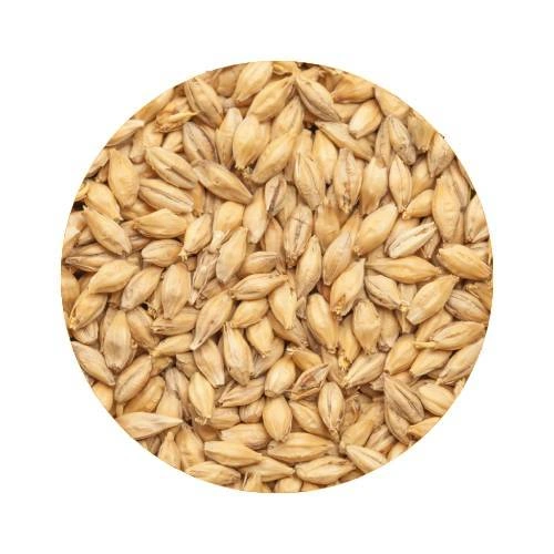 BEST Pilsen Malt BESTMALZ Whole Bag 25 kg MaltMagnus
