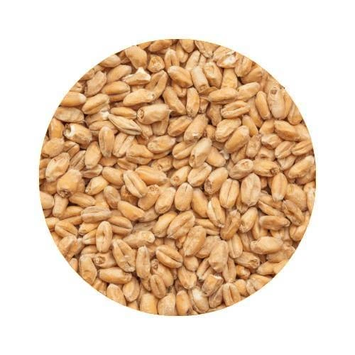 BEST Wheat Malt BESTMALZ Whole Pallet 800 kg MaltMagnus